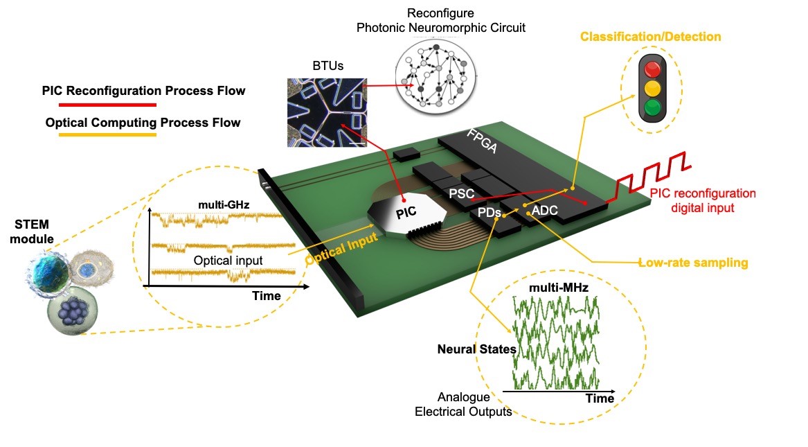 iTEAM leads the development of a new photonic neuromorphic chip that ...