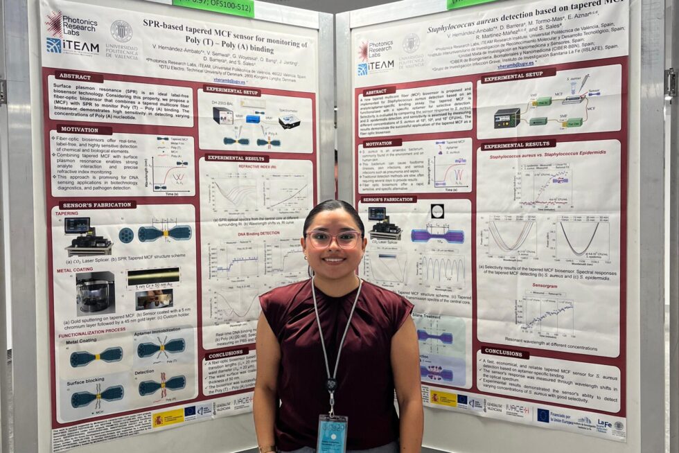 iTEAM | Research Institute | UPV